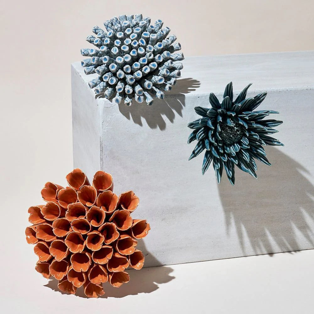 Chive Wholesale – Chive US Wholesale