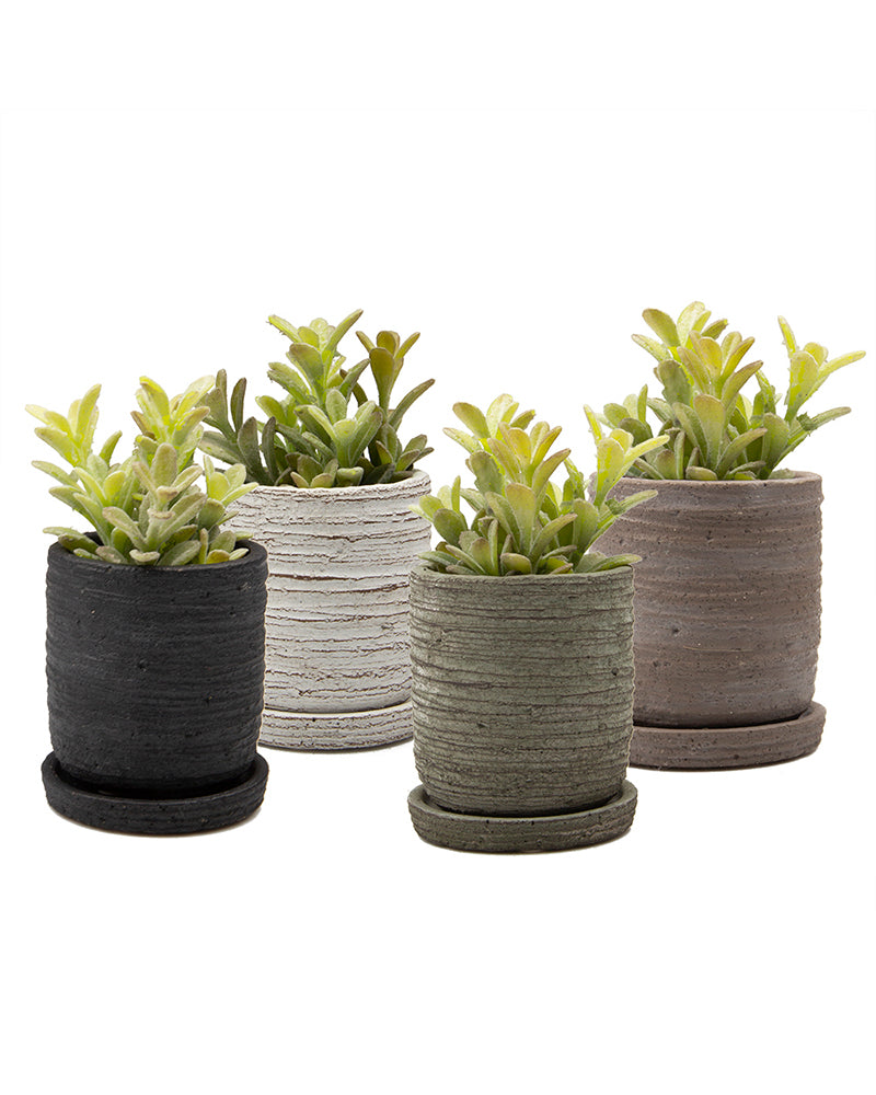 Paul Pot And Saucer 48pc Kit - Medium – Chive US Wholesale