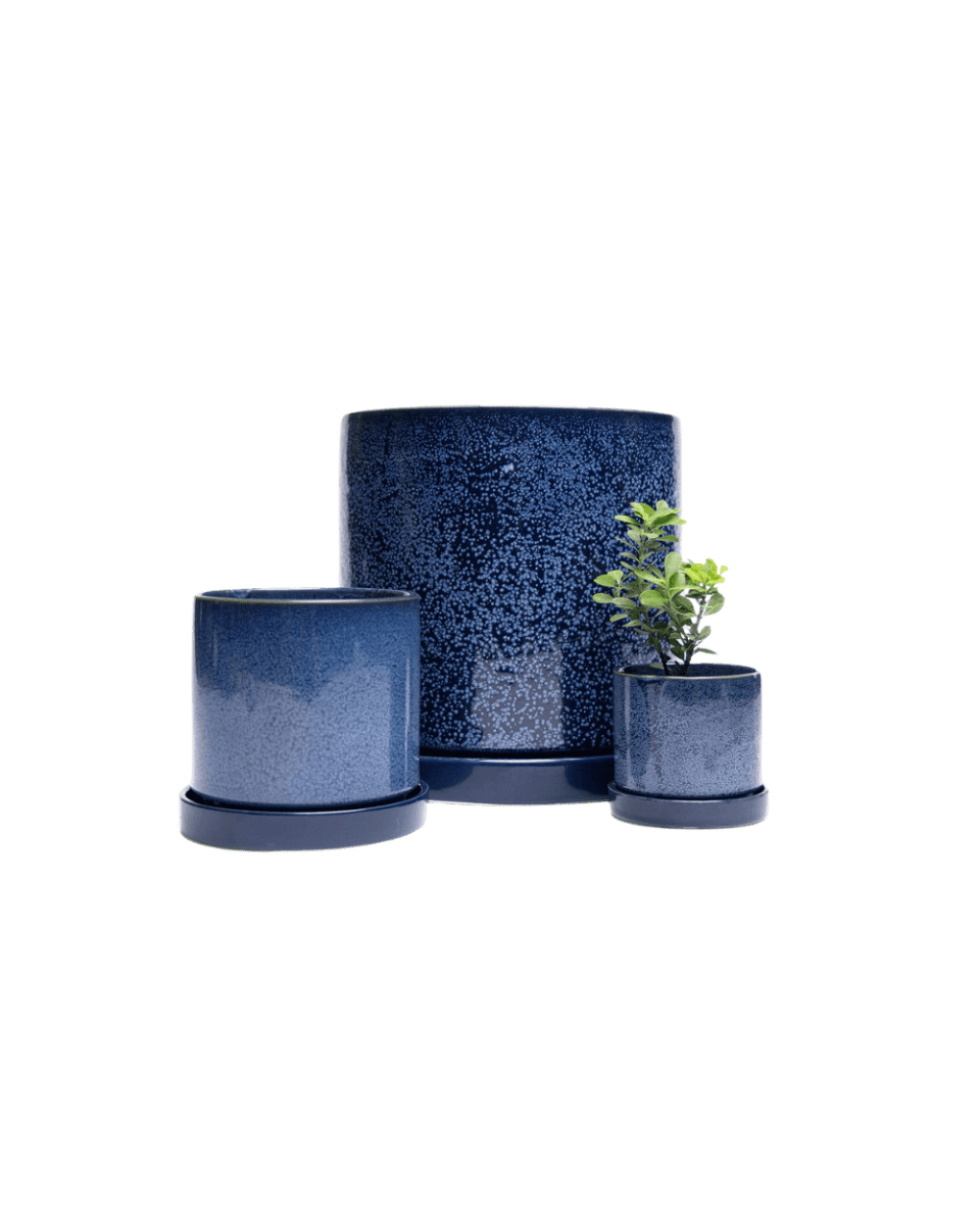 Ace Kit - Minute Pot & Saucer – Chive US Wholesale