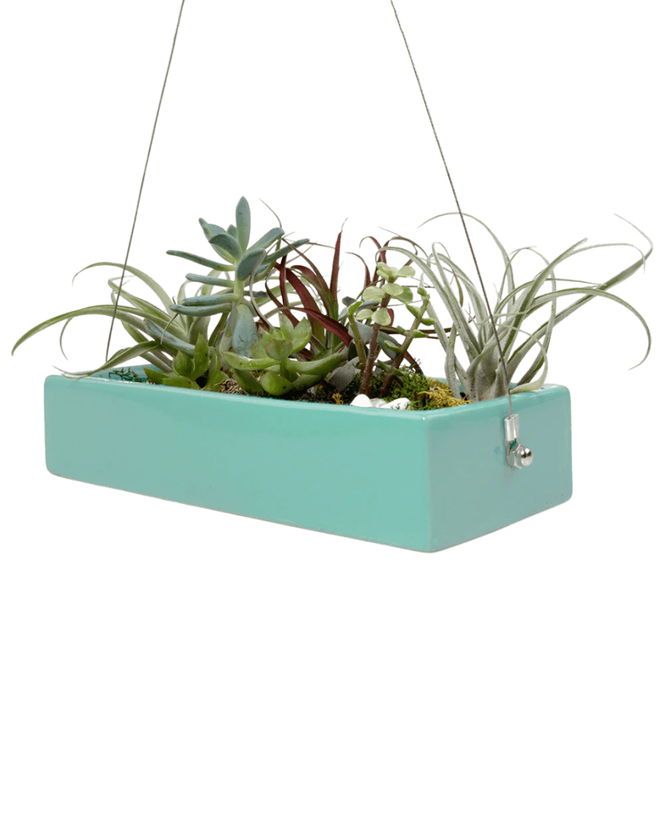 Ragna Ceramic Hanging Planter Kit – Chive US Wholesale
